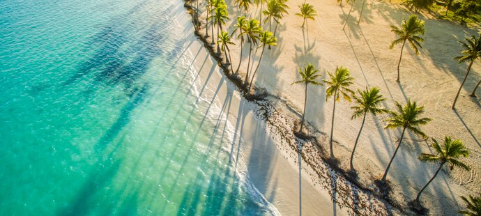 Fly & Cruise et Croisières en avion 2025 - 2026 | MSC Cruises